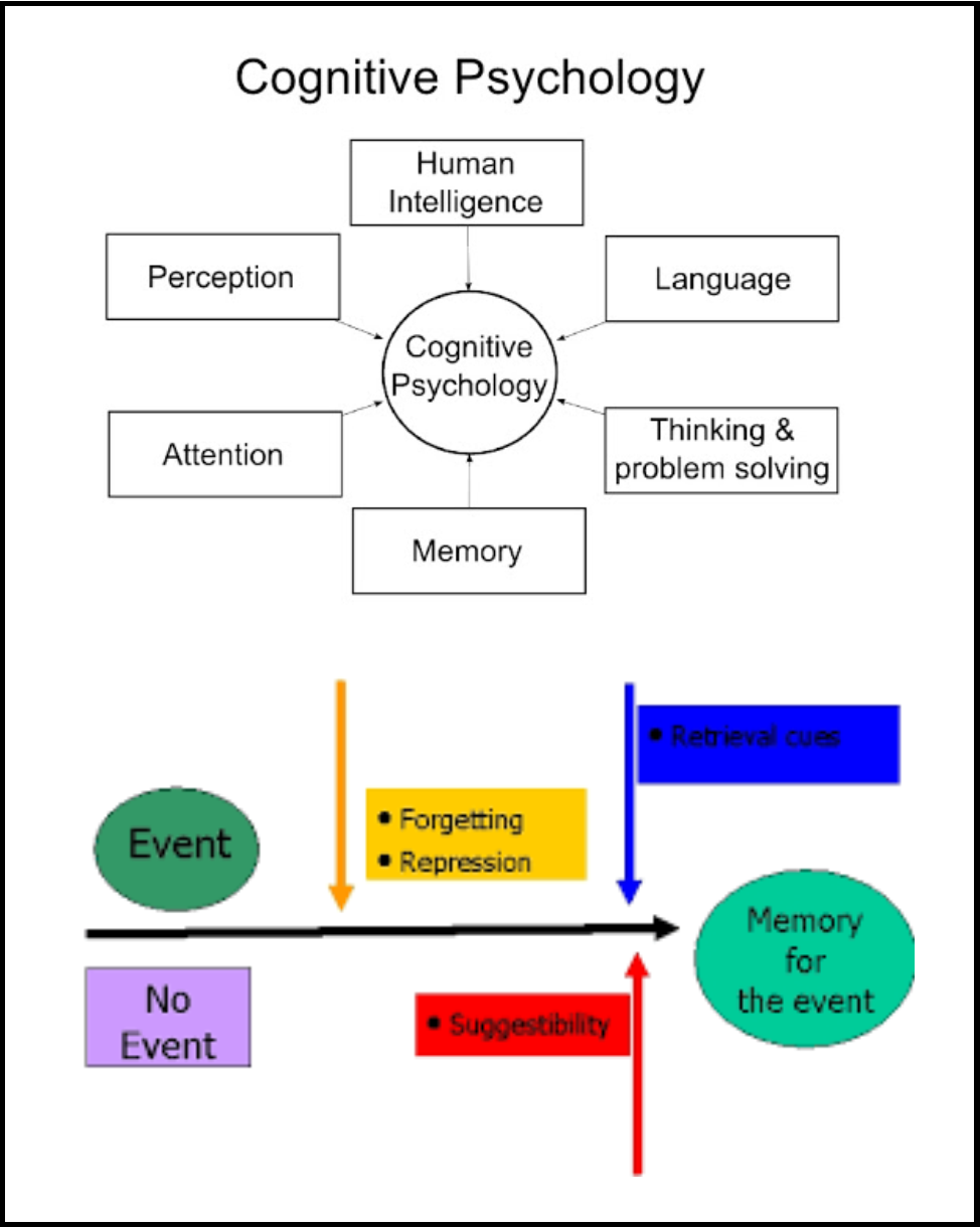 The Effects Of False Memory The Roaring Times